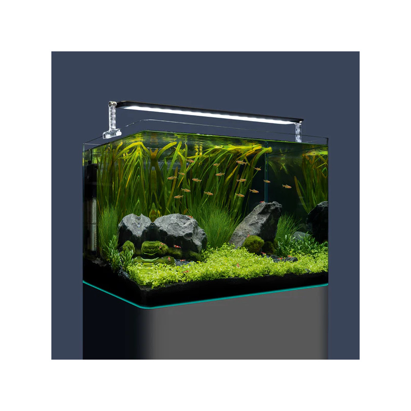 Dennerle Nano Tank Plant Pro 70L